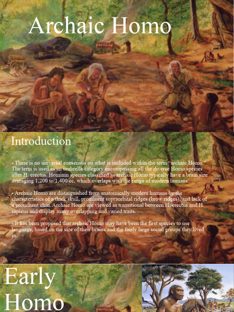 Archaic Homo: Evolution and Traits | PDF | Homo | Paleoanthropology