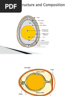 BioMan Biology 2 | PDF | Mitosis | Cell (Biology)