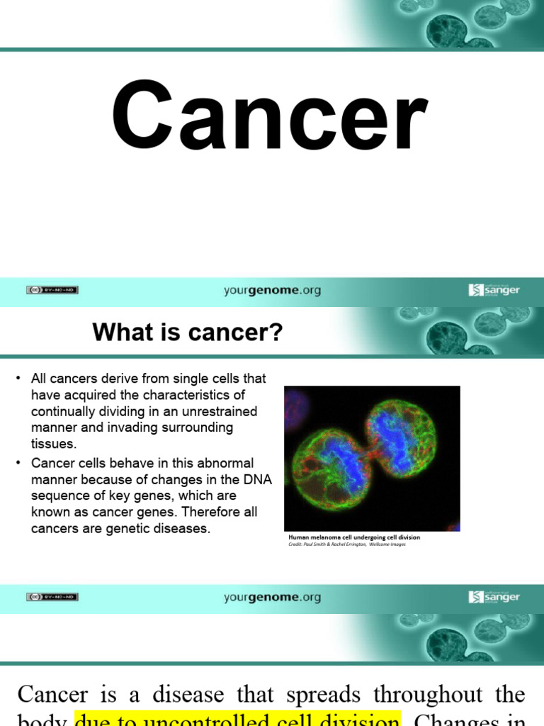 Understanding Cancer: Causes and Types | PDF | Cancer | Mutation