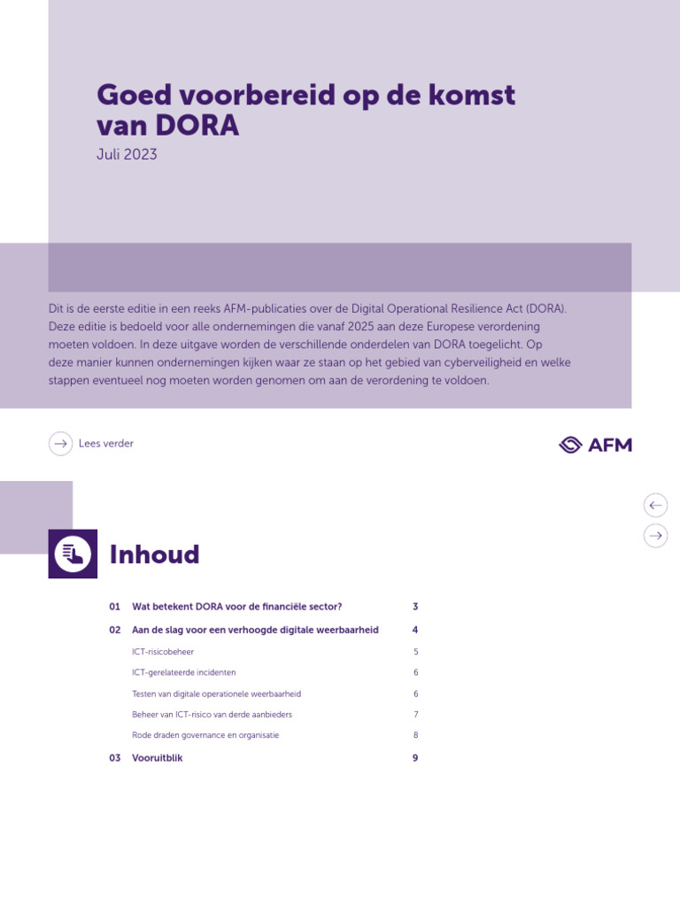 Dora Update Afm | PDF