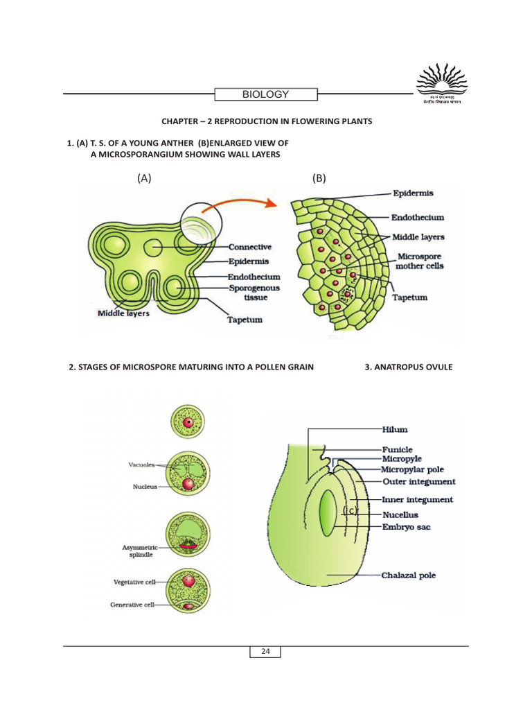 CH 2 DIAGRAMS Bio Class 12 | PDF