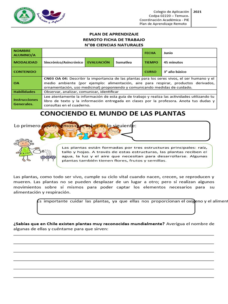 Ciencias Plantas | PDF | Tallo de la planta | Raíz