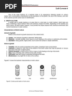 List of Bacteria 40 Scientific Names With 40 Common Names | PDF ...