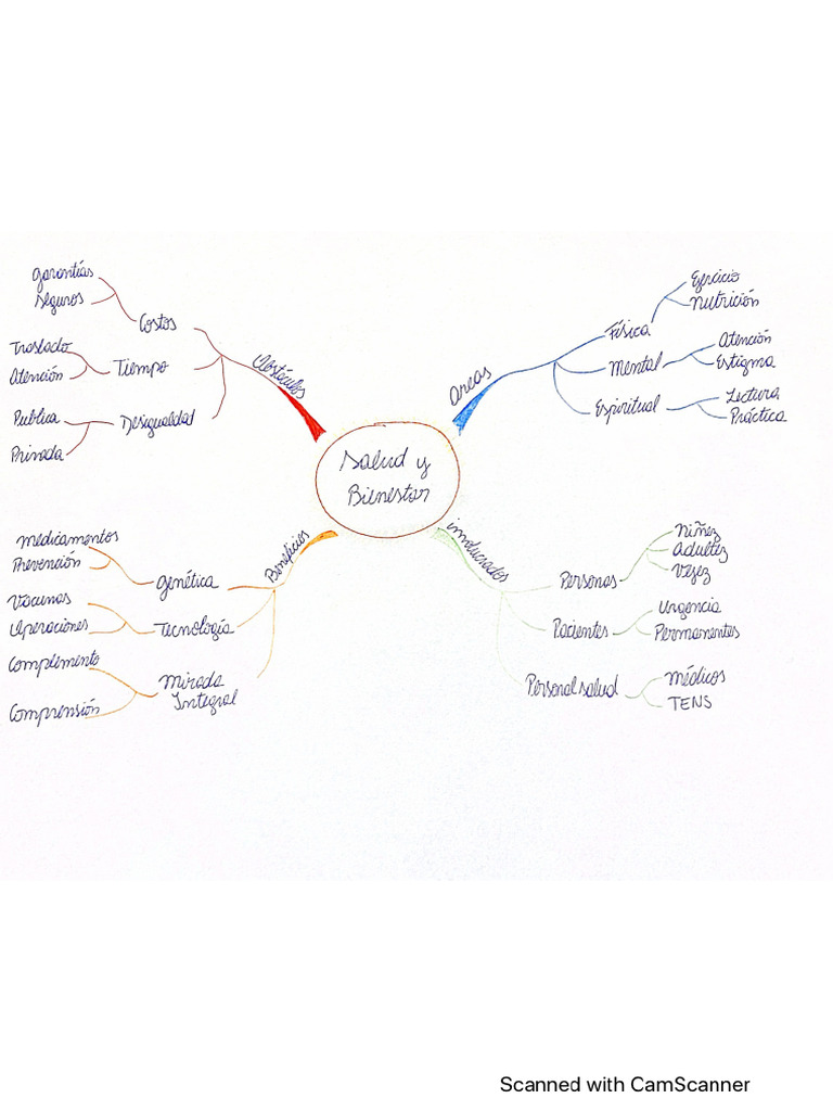 Mapa Mental Bienestar Pdf
