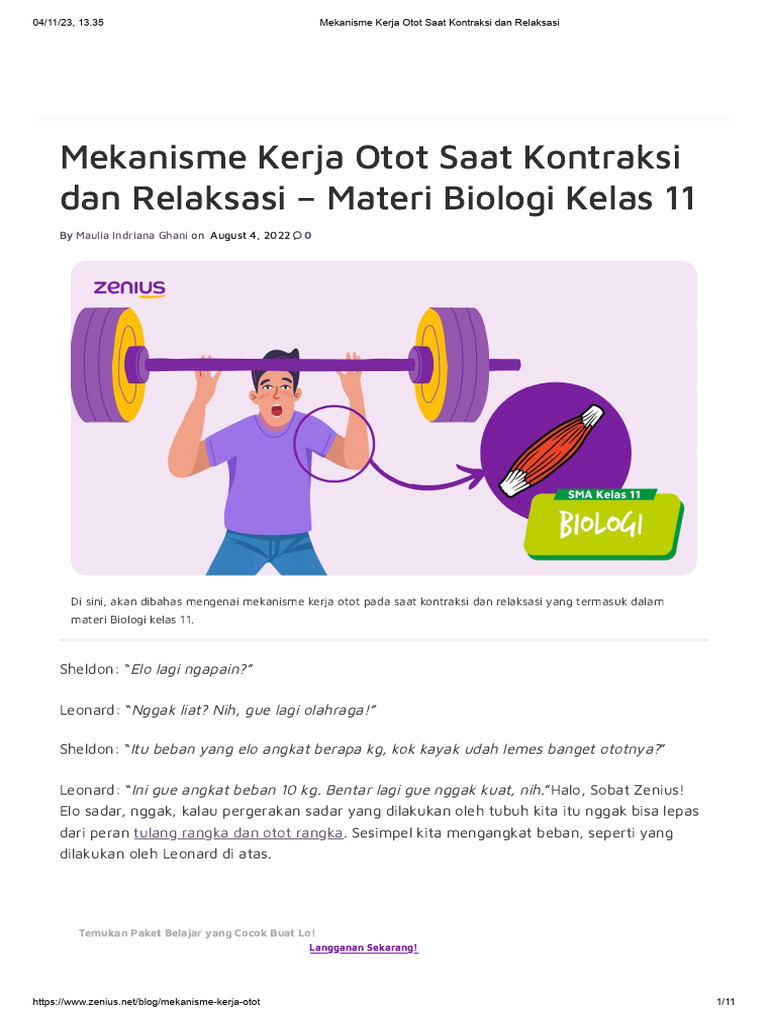 Mekanisme Kerja Otot Saat Kontraksi Dan Relaksasi | PDF Mekanisme Kerja Otot Saat Kontraksi Dan Relaksasi | PDF