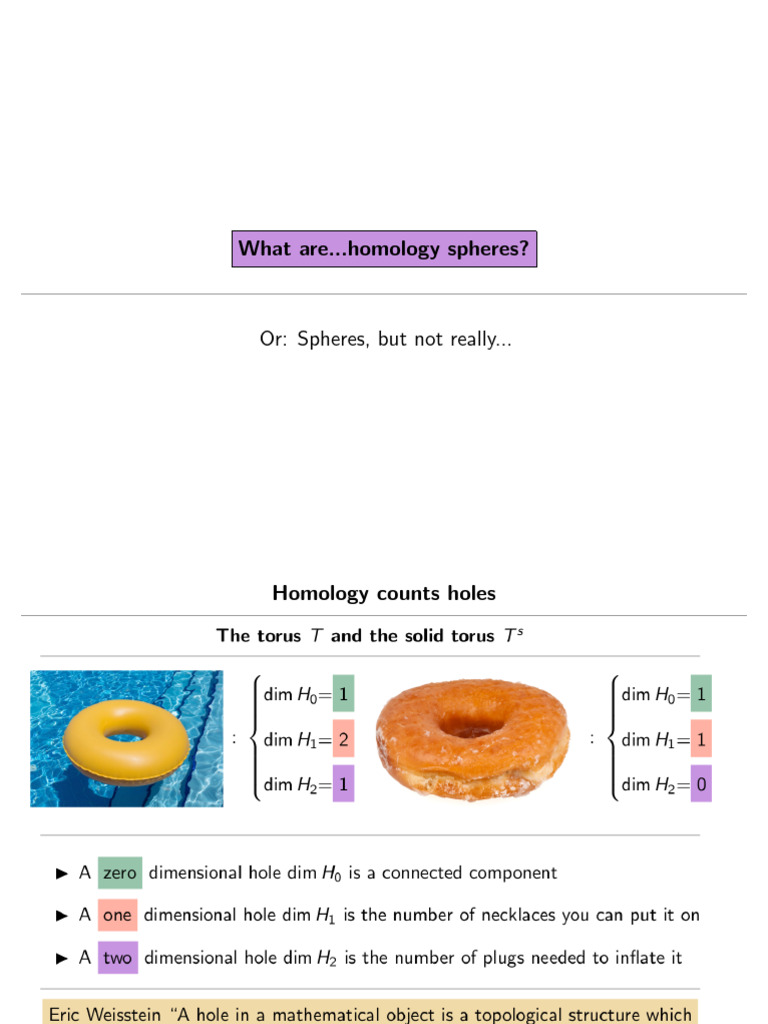 21 Homology Spheres | PDF