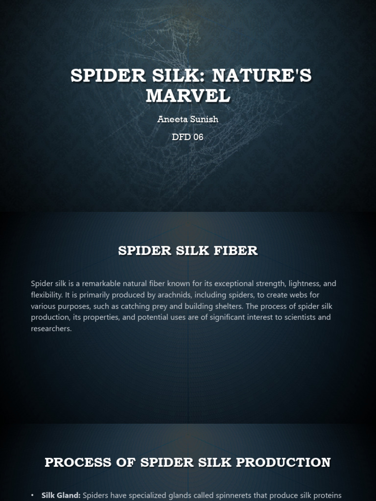 Spider Silk | PDF | Spider | Spider Web