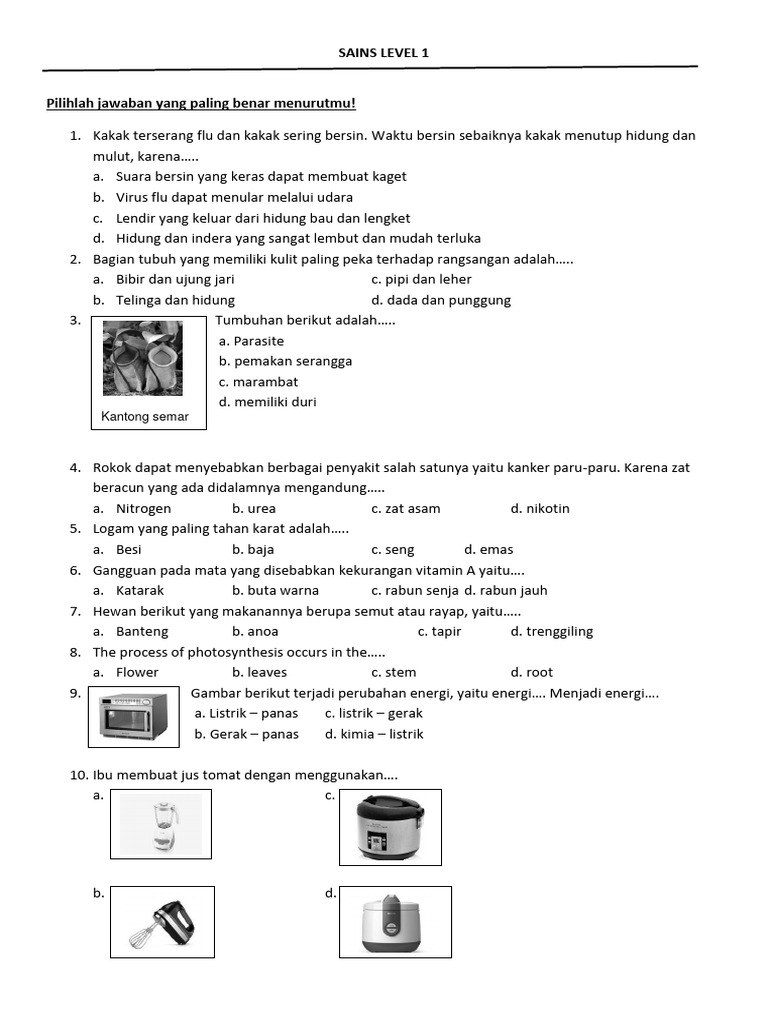 Sains Level 1 | PDF