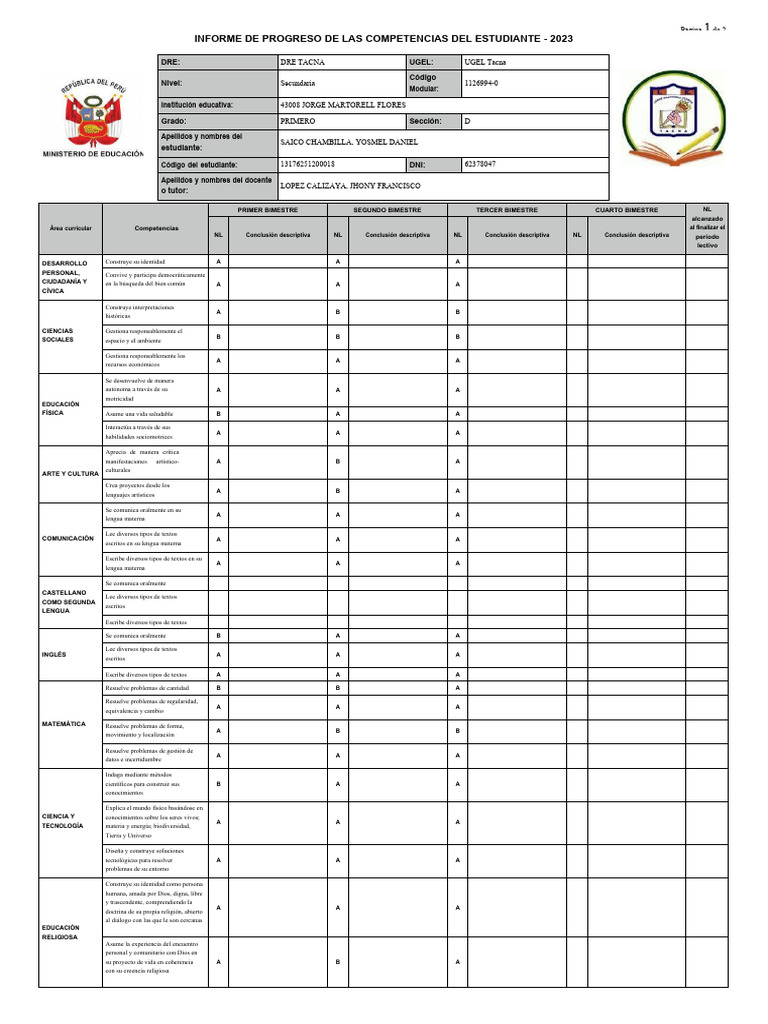 Informe de Progreso de Las Competencias Del Estudiante - 2023 | PDF