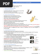 Retromylohyoid Fossa Anatomy and Classification | PDF | Tongue ...