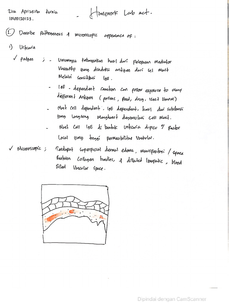 20123-Zira A-Lab Week 2 Is | PDF