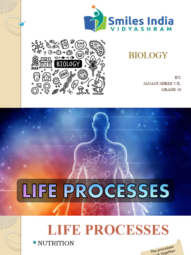 Biology-Life Processes | PDF | Digestion | Atrium (Heart)