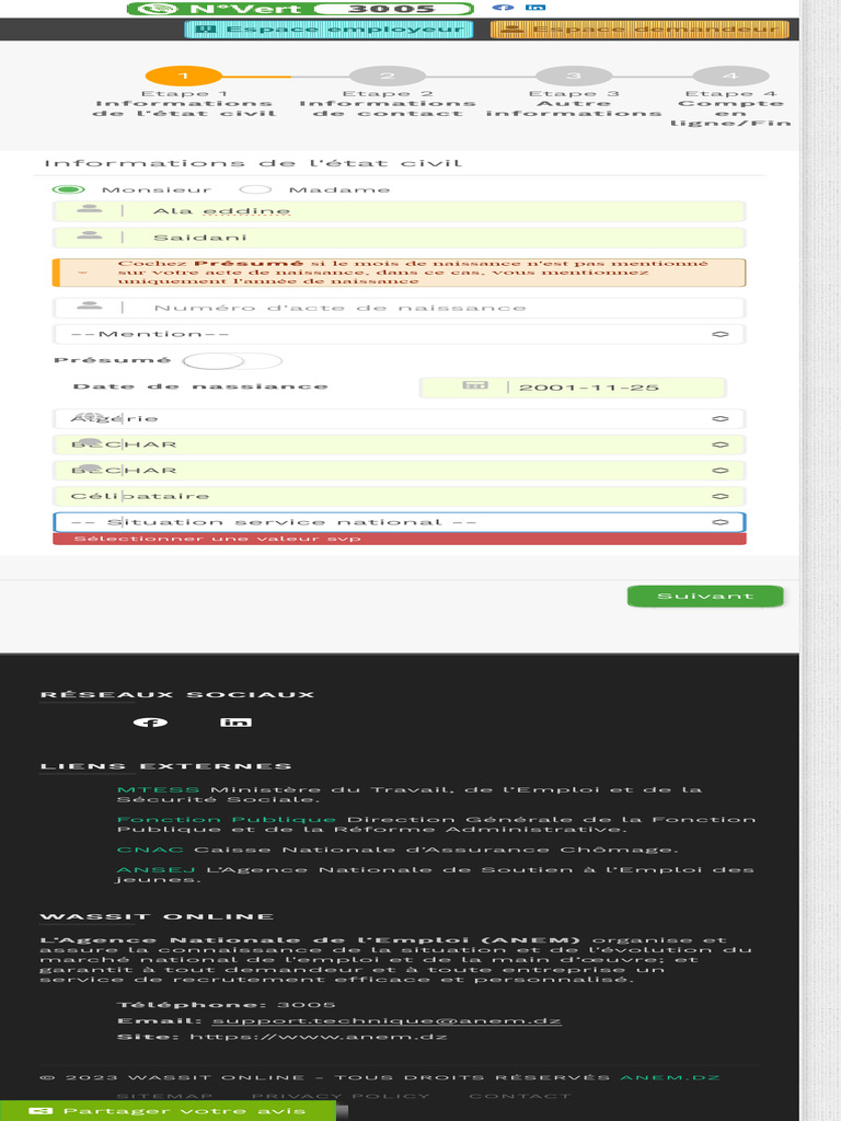 Wassit Online ANEM | PDF