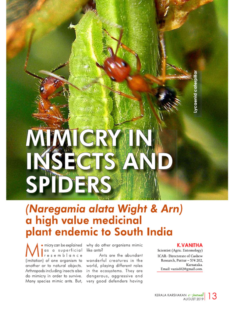 Vanitha-Mimicry Insects | PDF