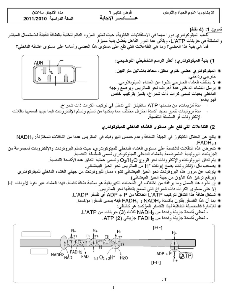 Correction Devoir 1 Parlier 1 SVT 1trim 2bac SVT | PDF