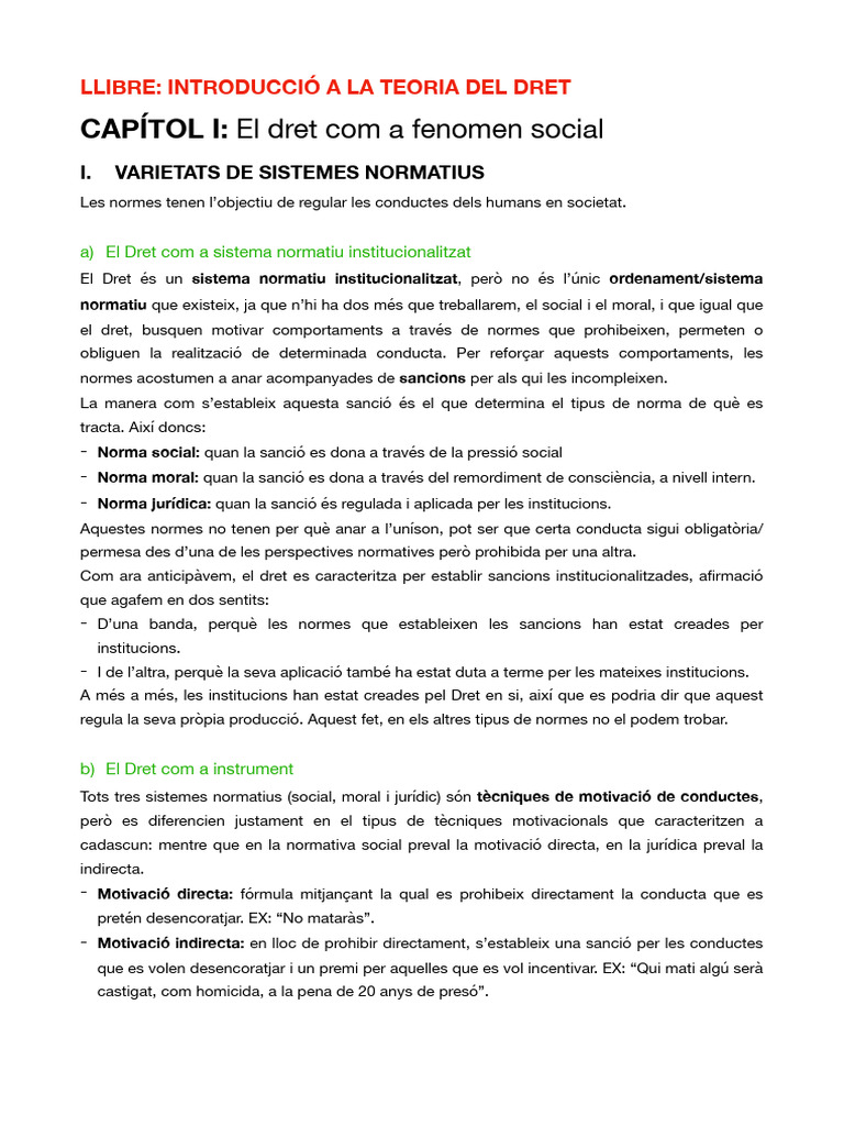 Resum Teoria Del Dret | PDF