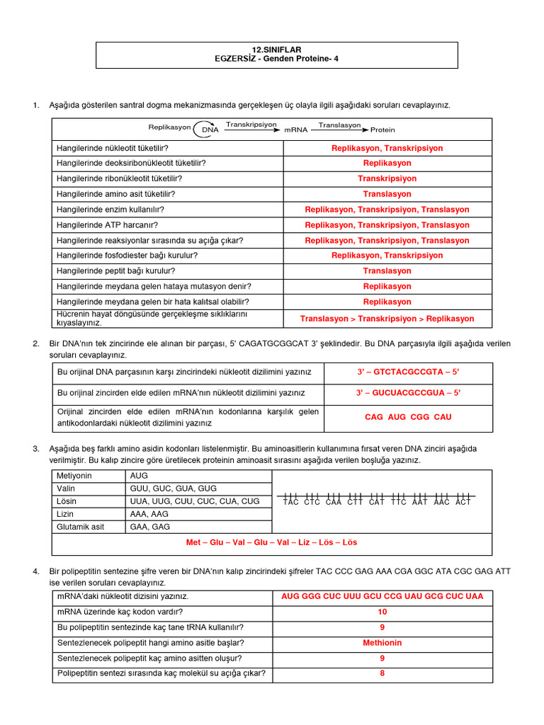 Genden Proteine-4 CVP | PDF