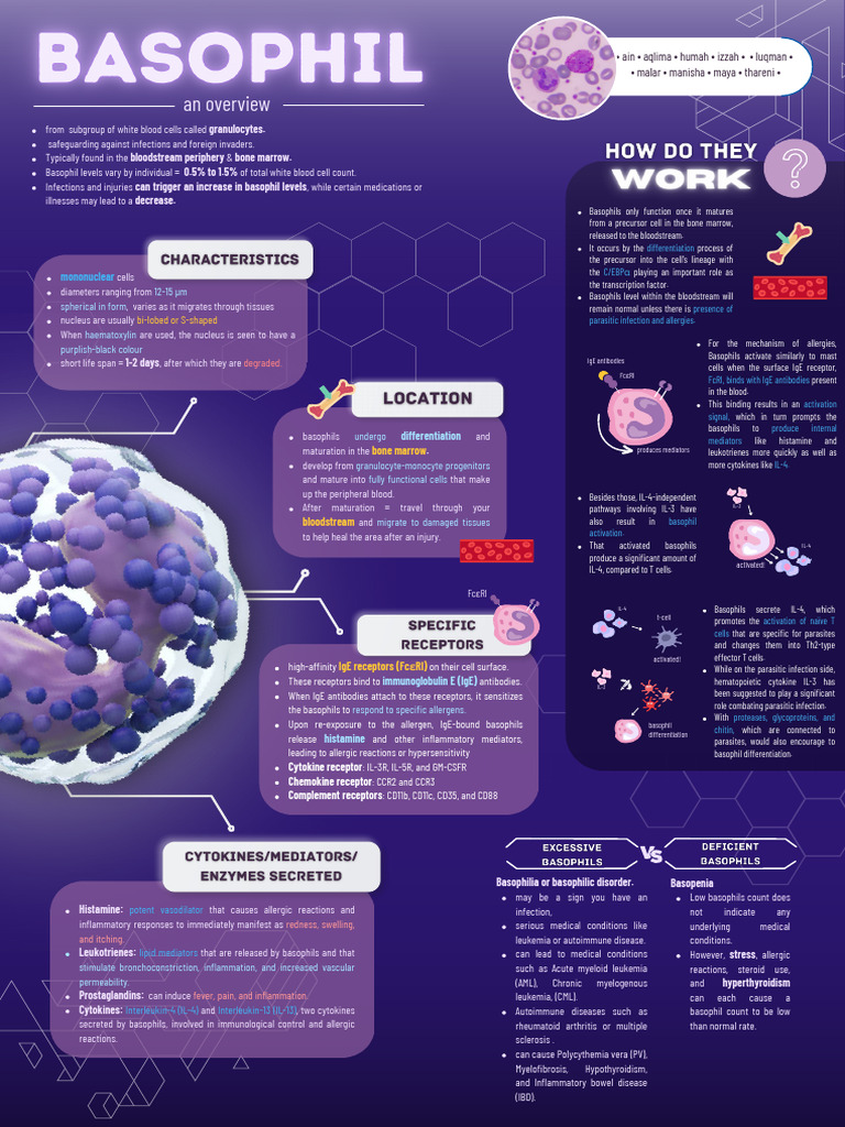 basophil (1) | PDF | Immunology | Immune System