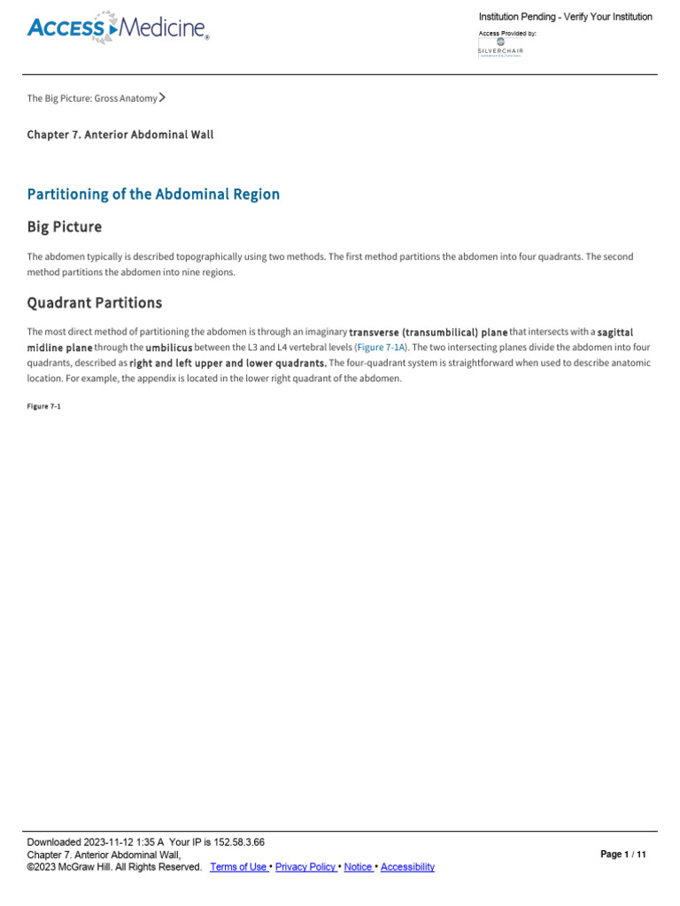 Abdominal Wall Anatomy Guide | PDF | Abdomen | Testicle
