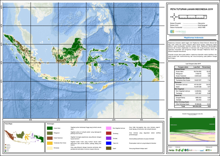 Mapbiomas Indonesia Tutupan Lahan Indonesia 2019 | PDF