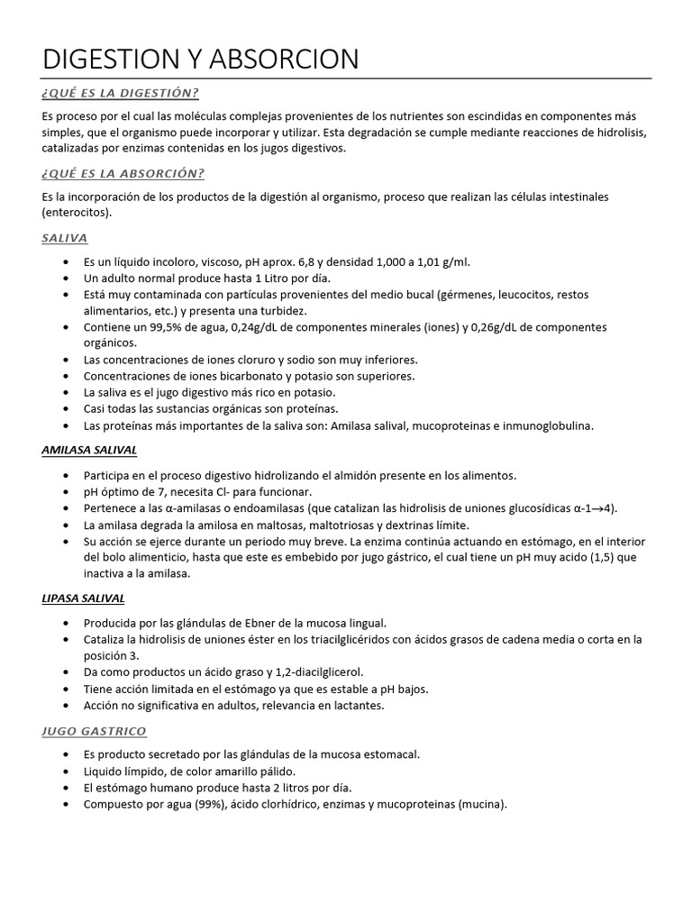 Digestion y Absorcion | PDF | Digestión | Carbohidratos
