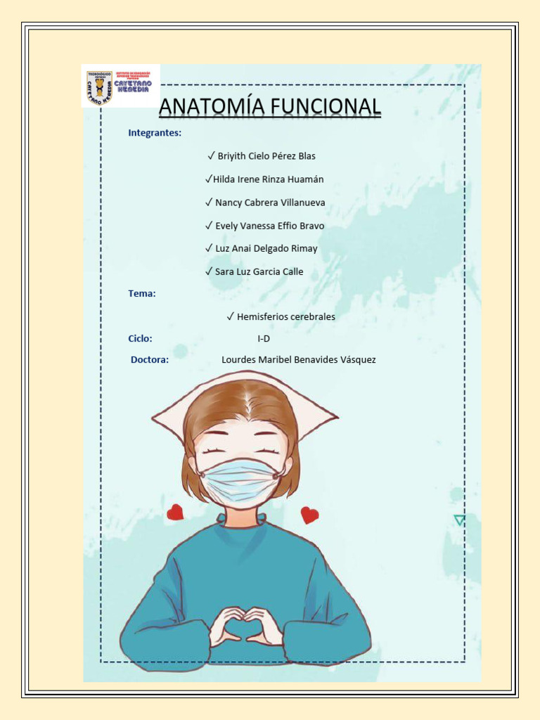 Hemisferio Cerebral Pdf Hemisferio Cerebral Cerebro