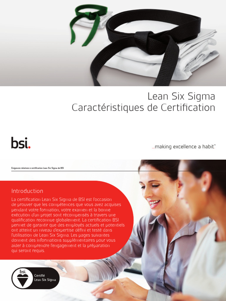 Certification Lean Six Sigma BSI | PDF | Six Sigma | Régression linéaire