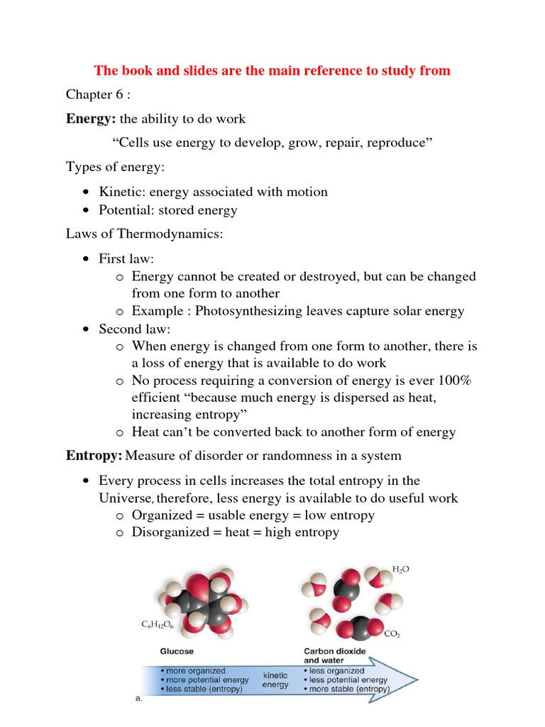 BIOLS102-UOB-Chapter 6 | PDF | Enzyme | Adenosine Triphosphate