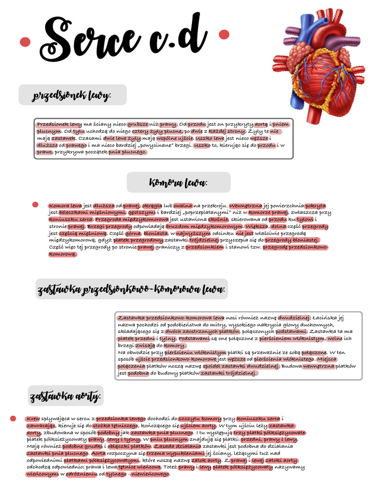 Anatomia Serca | PDF