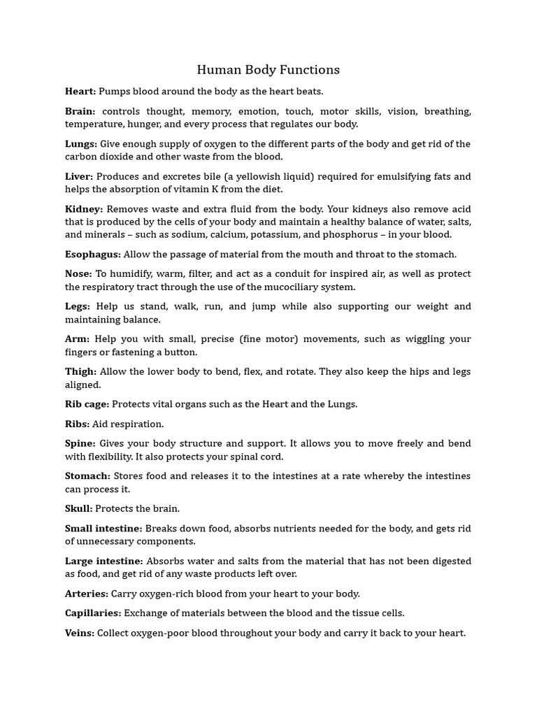 The Human Body - Functions | PDF | Human Body | Heart