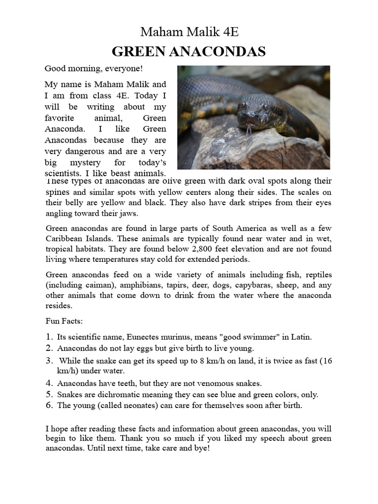 Green Anaconda: Adaptations & Facts | PDF | Home & Garden