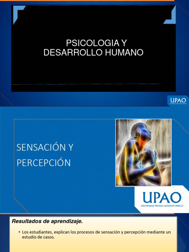 Semana 4 - Sensación y Percepción. | PDF | Percepción | Sentidos