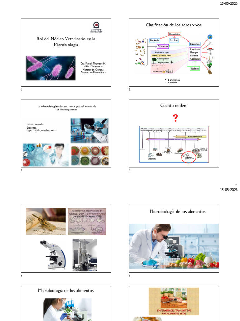 Microsoft PowerPoint - Microbiología. INTRODUCCIÓN A La MV | Descargar ...