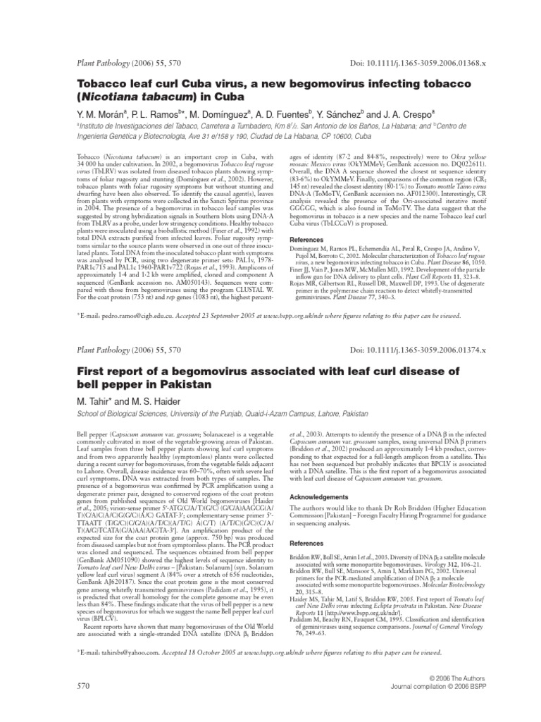 Bell Pepper | PDF | Polymerase Chain Reaction | Dna Sequencing