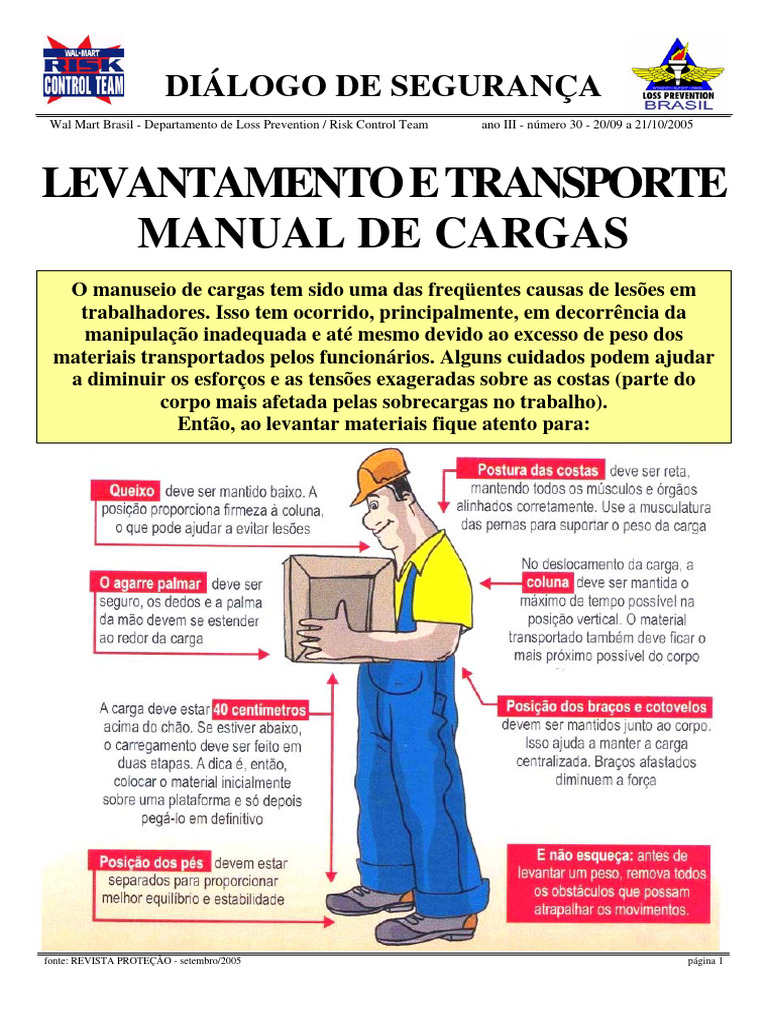 Segurança no Manuseio de Cargas | PDF