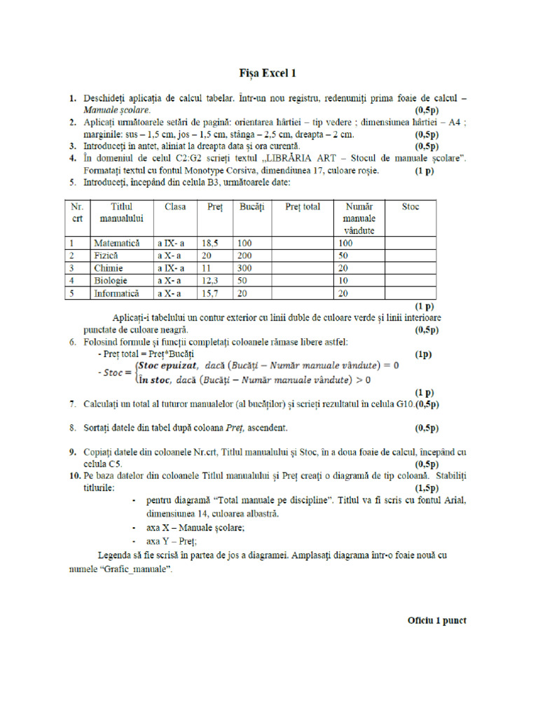 9.1.fisa Excel Recapitulativa | PDF