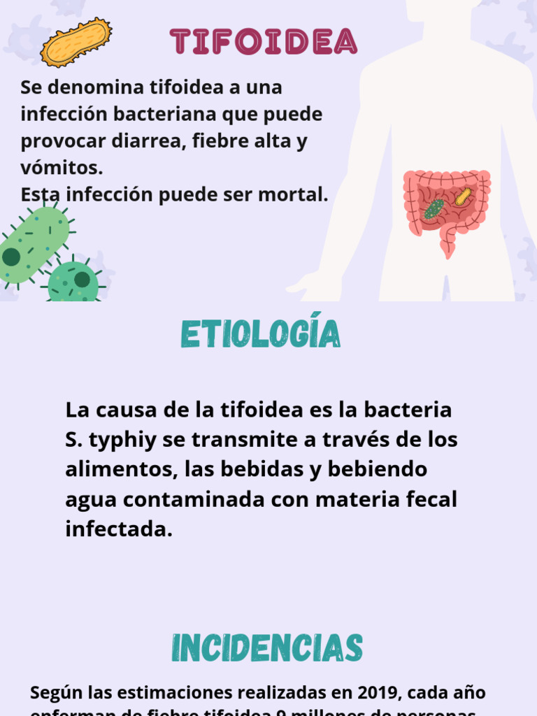 Fiebre Tifoidea | PDF | Cólera | Hepatitis