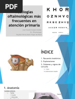 Reflejo de Flehmen en Animales | PDF | Biología
