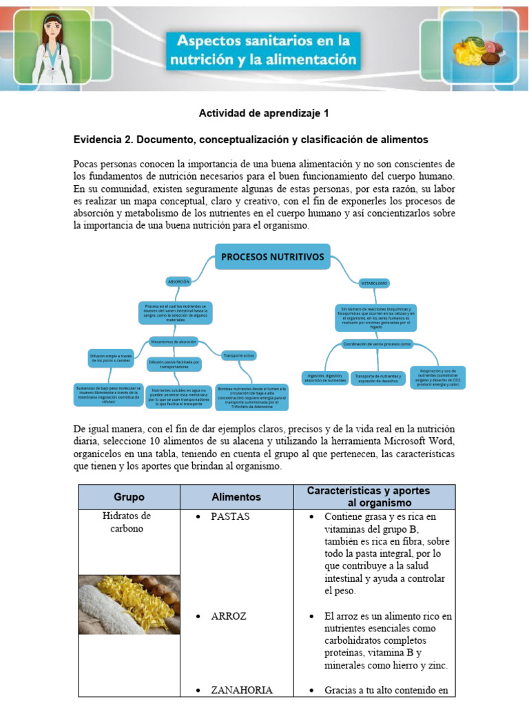 Evidencia 1 Conceptualizacion y Clasificacion de Alimentos | PDF | Nutrición | Dieta y nutrición