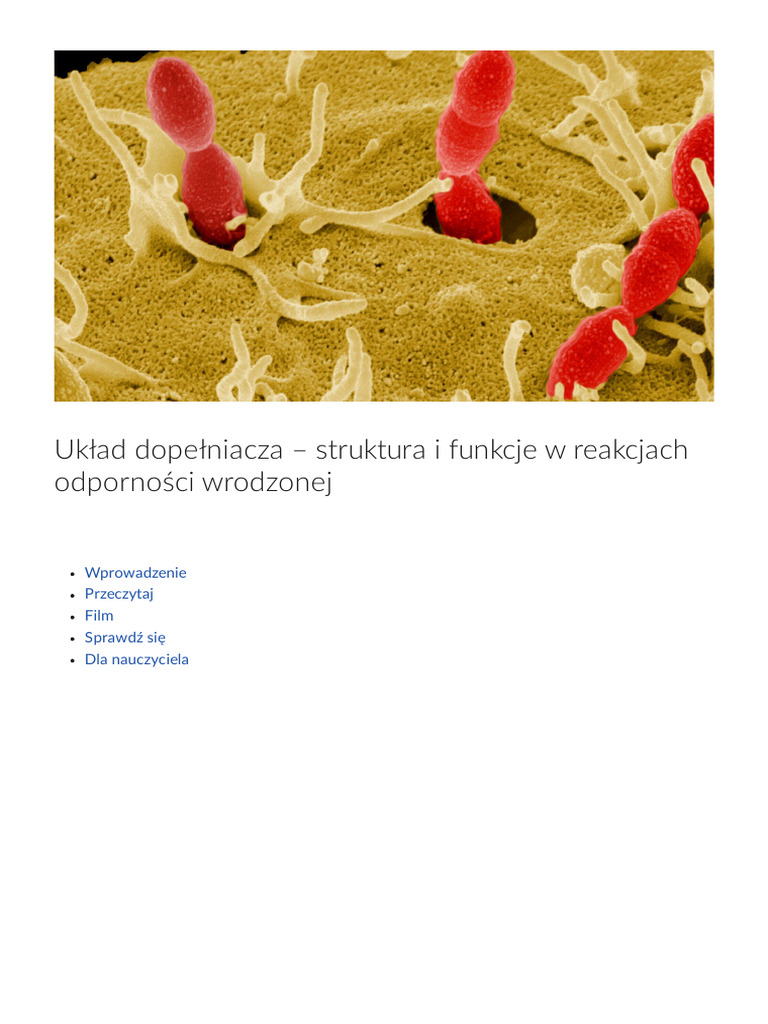 Uklad Dopelniacza - Struktura I | PDF
