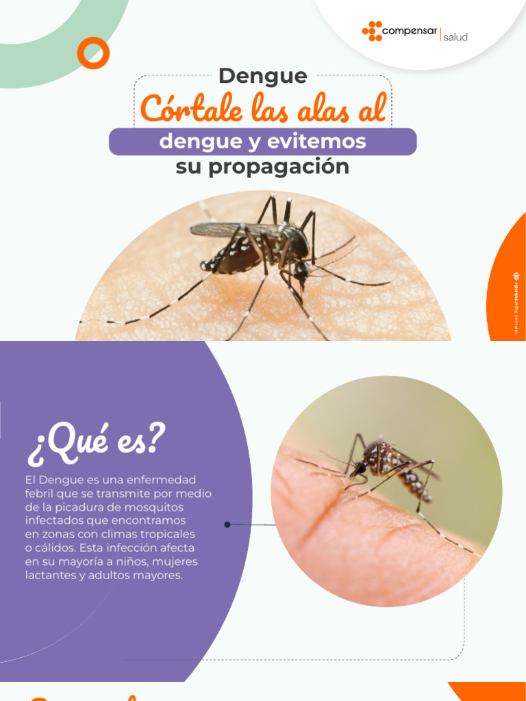 Cartilla Dengue | PDF | Especialidades Medicas | Enfermedades y trastornos