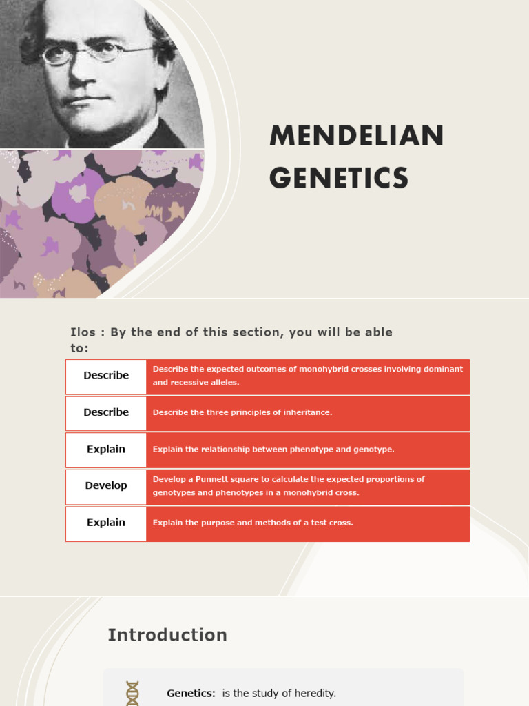 Mendelian Genetics | PDF | Dominance (Genetics) | Allele