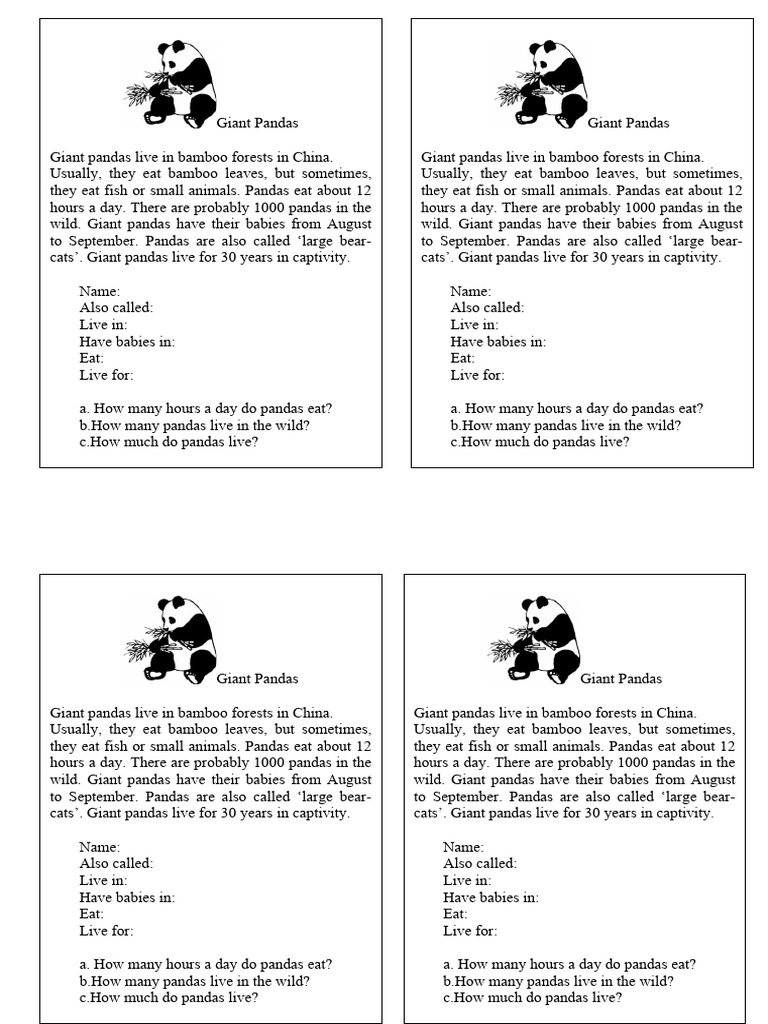 Giant Pandas | PDF | Giant Panda | Bears