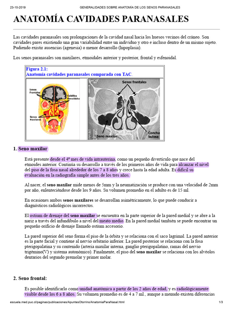 Anatomía de los Senos Paranasales | PDF | Sistema esquelético ...