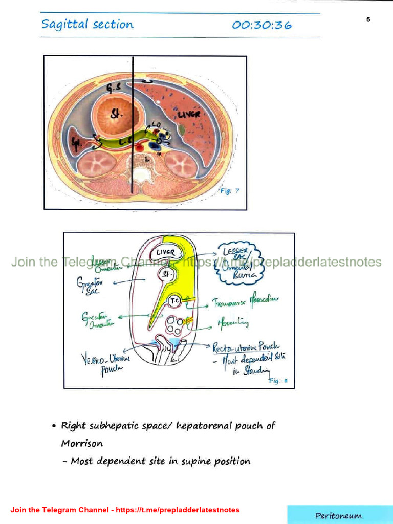 Dr. Azam Anatomy Notes by @yourwish12 - Bot (1) - 196 | PDF