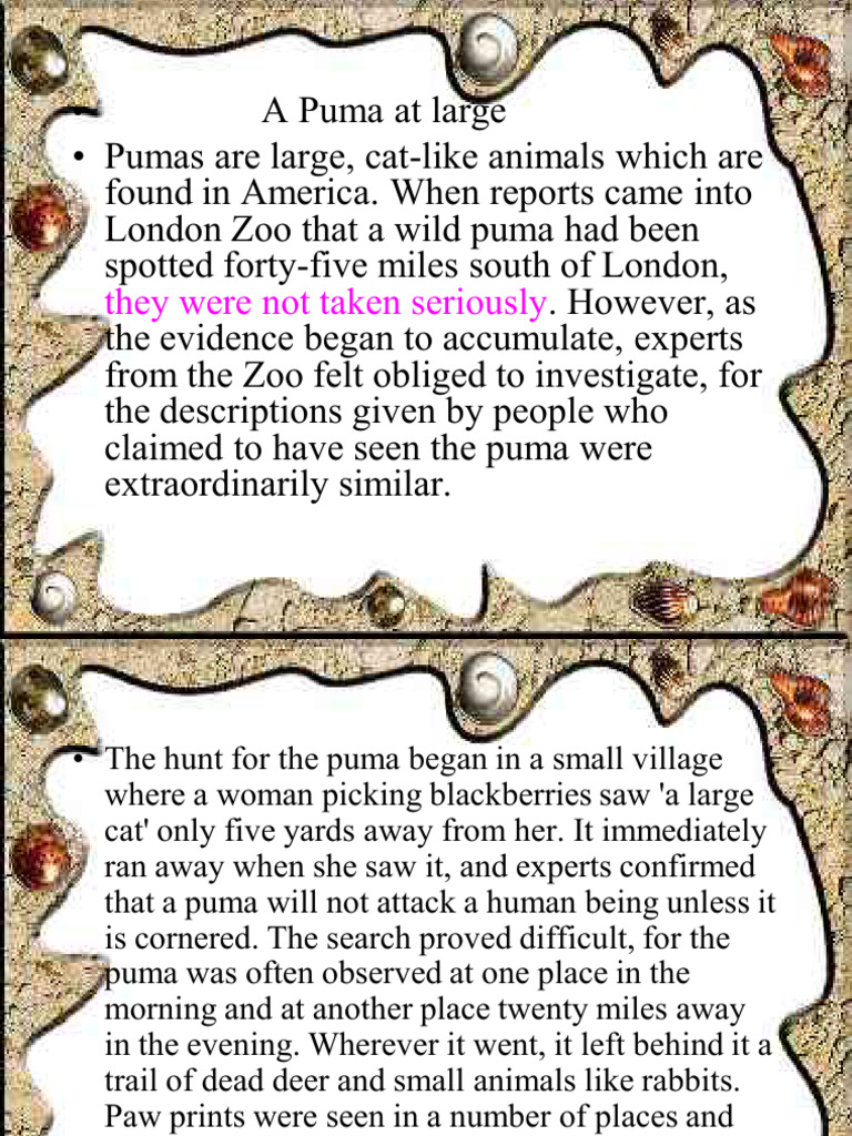 New Concept English PDF | PDF