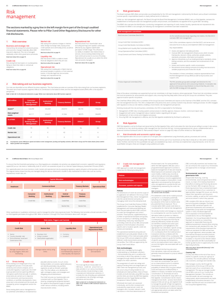 Dbs Annual Report 2022 Risk Management | PDF