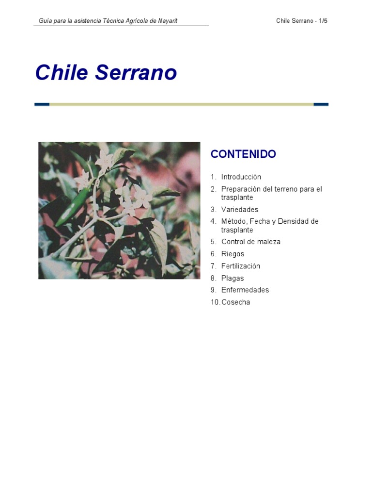 Chile Serrano | PDF | Riego | Chile