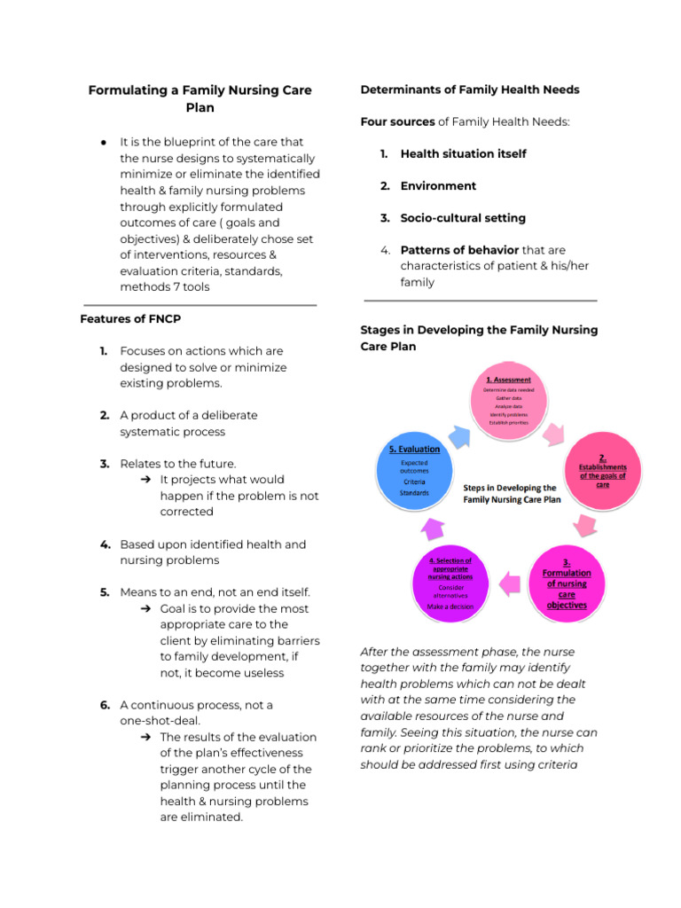 Formulating A Family Nursing Care Plan | PDF | Nursing | Mental Disorder