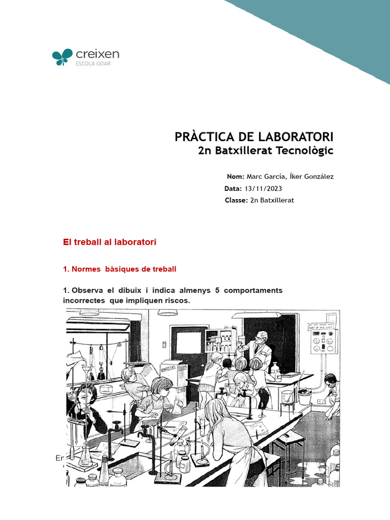 Plantilla Pràctica Treball Al Laboratori (Batxillerat)-2 | PDF